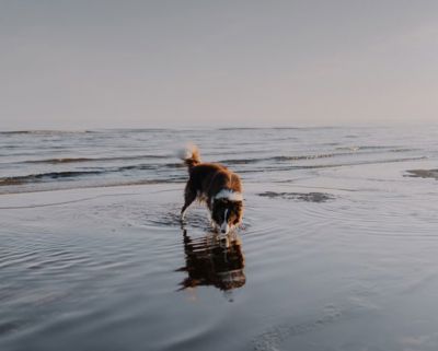 Waves | Book Self Catering Apartments in Guernsey - Waves